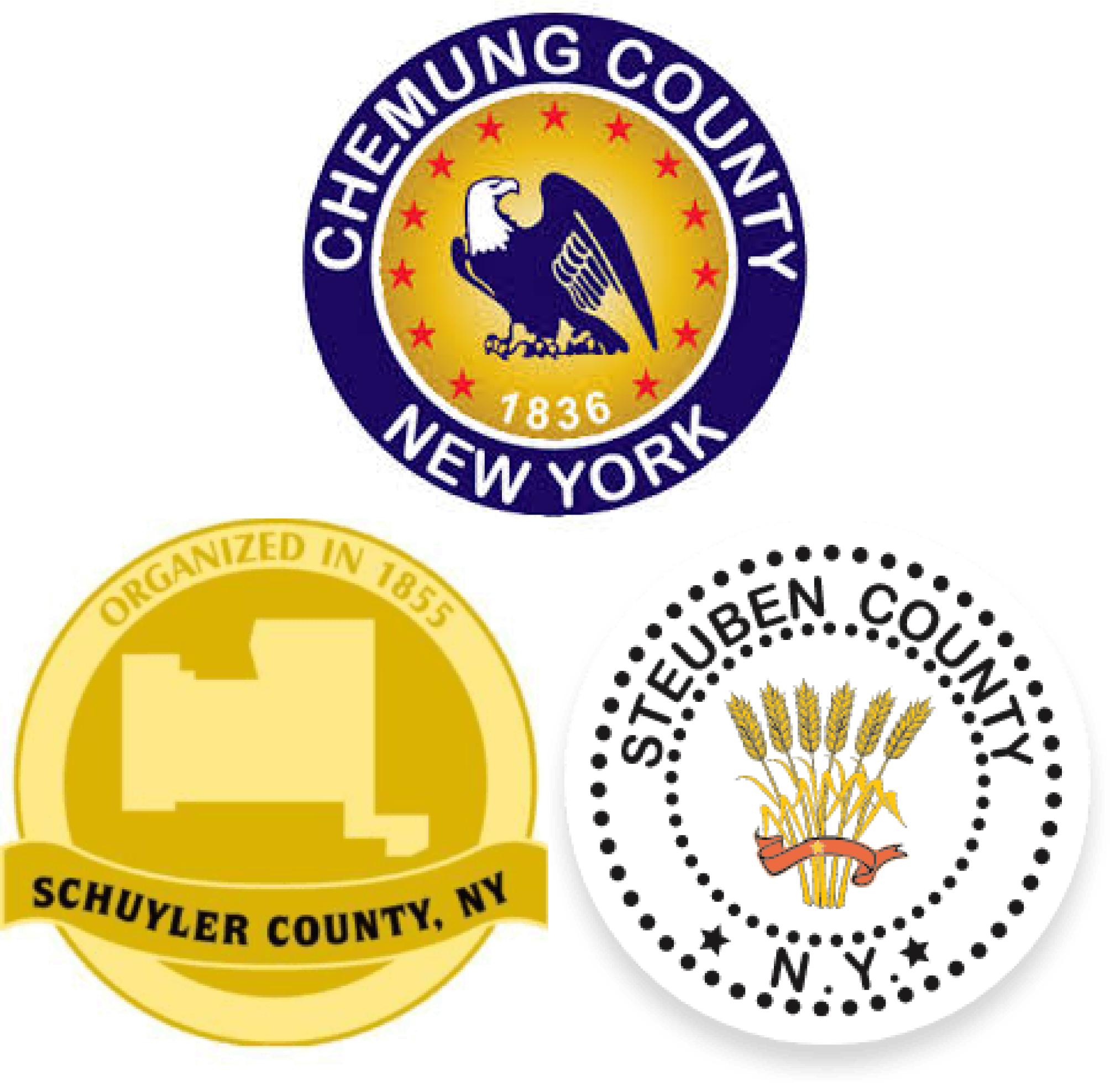 New York State Southern Tier Regional Interoperability Network • Televate